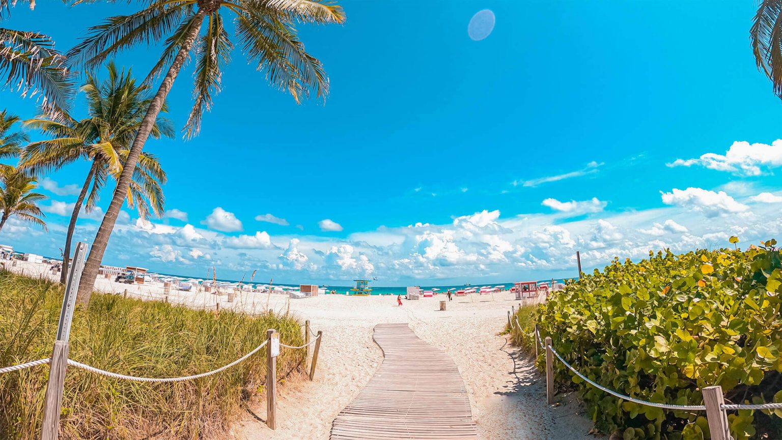 ¿Qué hacer en Miami? Viaja a Miami por 3 días | Mapalover | Blog para ...
